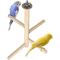 SS Organic Natural Wood Bird Perch Stand, Hanging Multi Branch Perch ...