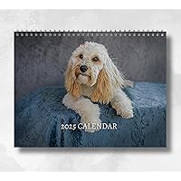 Cavapoo 2025 - A3 Size Wirobound Calendar : Amazon.co.uk