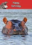 Birthday Card "Happy Birthday" Funny Animal Hippopotamus Goggly 3D ...