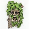 Fiesta Studios Arthur the Tree Ent Face Plaque for Garden Home Wicca ...