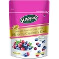Happilo Premium American Dried Whole Blueberry Cranberry Duet 200g pack ...