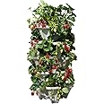 Mr. Stacky 5 Tiered Vertical Gardening Planter, Indoor & Outdoor ...