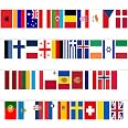 Eurovision Flags Bunting, Eurovision Party Decorations, European Flags ...