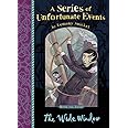 The Wide Window: A Series of Unfortunate Events, Vol. 3 : Snicket ...