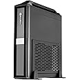 Amazon.in: Buy SilverStone Technology Mini-ITX Slim Small Form Factor Computer Case with Handle ...