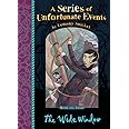 The Wide Window: A Series of Unfortunate Events, Vol. 3 : Snicket ...