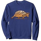 Cartoon Portrait Of Wild Baby Tortoise Plodding T-Shirt : Amazon.co.uk ...