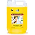 Cleansol Multipurpose Liquid Soap Concentrate | All-Purpose Cleaner for ...