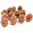Bright Ideas Mini Fluffy Christmas Robins. PK12 4.5cm Brown and Red ...