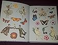 Antiquarian Sticker Book: Over 1,000 Exquisite Victorian Stickers : Odd ...