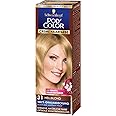 Poly Color Creme Coloration 31 Hellblond, 4er Pack (4 x 1 Stück ...