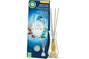 amazon.ae Best Sellers: The best items in Home Décor Products based on ...