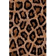 Leopard Print Notebook: Super Cute A5 Animal Print/Leopard Print ...