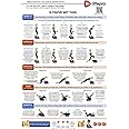 Lifepro Whole Body Vibration Plate Workout Poster - Comprehensive ...