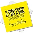 Punkcards - Friend Birthday Card Female - 'A Good Friend Is Like A Bra ...