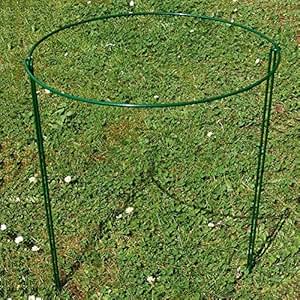 LAMF Plant Support Ring for Peonies Hydrangea Roses Metal Garden ...