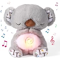 Koala Tegneserie Ansikt