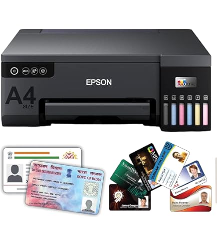Epson L800 Printer