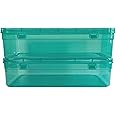 Feliz Green Coloured Plastic Large Storage Boxes Size 11.5x7.5x2.75 ...