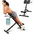 LifePro Foldable Roman Chair Hyperextension Bench & Dip Station - Multi ...