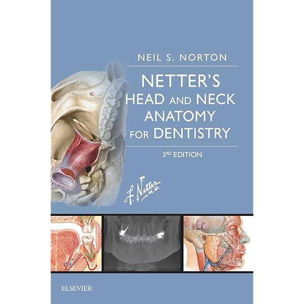 Netter Neck Anatomy Jual Netter's Head And Neck Anatomy For Dentistry