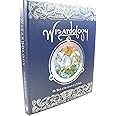 Wizardology: Amazon.co.uk: Steer, Dugald: 9781840113372: Books