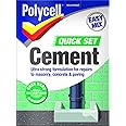 POLYCELL 20204 Polycell Quick Set Cement Polyfilla, 2 kg - Grey ...