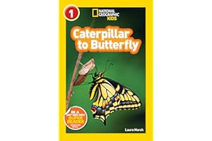 amazon.sa Best Sellers: The best items in Books based on Amazon ...