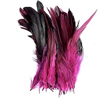 Pack of 50 Rooster Pheasant Dip Dyed Feathers - 5-8" (12-20cm) Approx ...