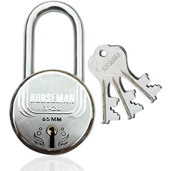 Godrej Locks Navtal 7 Levers - 2 Key with Shut Height 50 mm (Brass ...