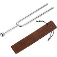 DHWEKU 1 Pieza Diapason,Diapason musical,Diapason 440hz,Con bolsa de ...