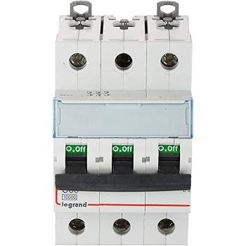 Legrand DX 3 63-Amp 4-Pole MCB Isolator 406520: Amazon.in: Home Improvement