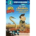 Wild Reptiles: Snakes, Crocodiles, Lizards, and Tu: Wild Kratts : Buy ...
