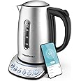 Smart Kettle by WeeKett - voice control with Amazon Alexa, Google ...