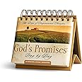 DaySpring Flip Calendar - God's Promises Day by Day - 77872, Brown ...