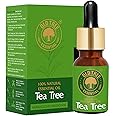 Old Tree Pure & Natural Tea Tree Essential Oil (15ml) - for Skin ...