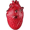 SEWACC Fake Heart, Realistic Heart Simulation Heart Scary Heart Fake ...