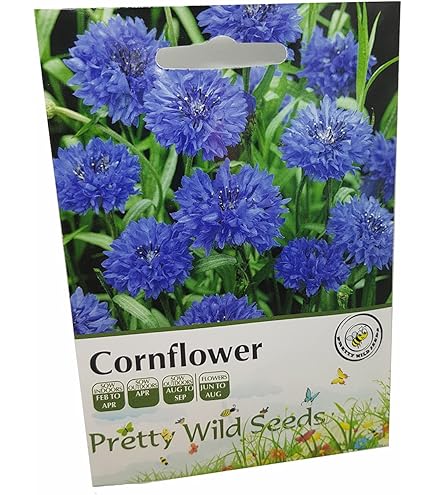Cornflower Double Blue Seeds