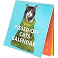 2025 Pissed-Off Cats Calendar, Angry Fun Cats Wall Hanging Calendar ...