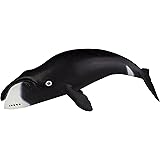 CollectA Bowhead Whale : Amazon.co.uk: Toys & Games