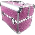 Extra Large Vanity Case Beauty Box Make up Jewelry Cosmetic Nail ...
