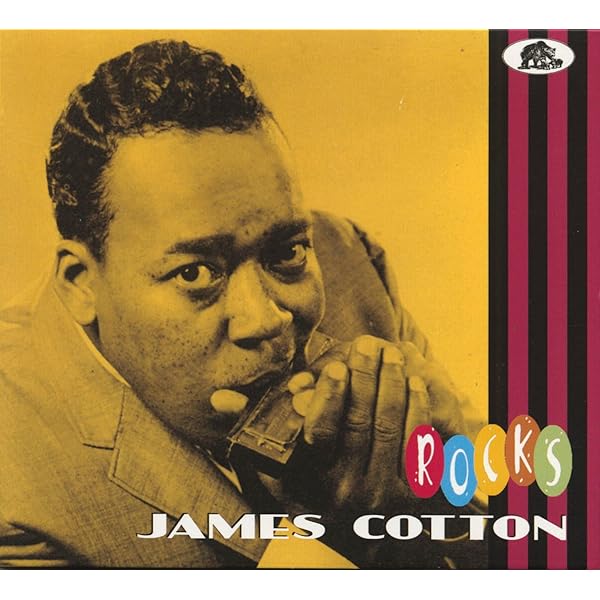 Robin Clyde's Instagram, Twitter & Facebook on IDCrawl