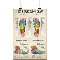 Massage Therapist Knowledge Foot Reflexology Chart The 3 Massages For