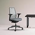 Steelcase Personality Plus Chair | 12-Years Warranty | DIY Assembly ...