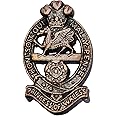 Princess of Wales's Royal Regiment PWRR Cap Badge : Amazon.co.uk: Fashion