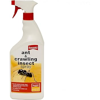 Dethlac 250 ml Insecticidal Lacquer (Kills Insects such as Ants ...