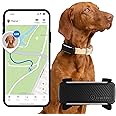 tractive GPS Dog Tracker | Market leader | Real-time location tracking ...