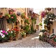 BELECO 2.1x1.5m Fabric Italy Street Photography Backdrop Europe Village ...