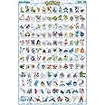 Pokémon Hoenn Maxi Poster - Laminated : Amazon.co.uk: Home & Kitchen