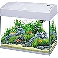 Fish 'R' Fun Rectangular Tank, 20 Litre Capacity, White : Amazon.co.uk ...